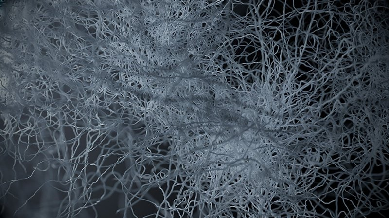 Exilva Microfibrillated Cellulose & Clay Platelets: anti-settling ...