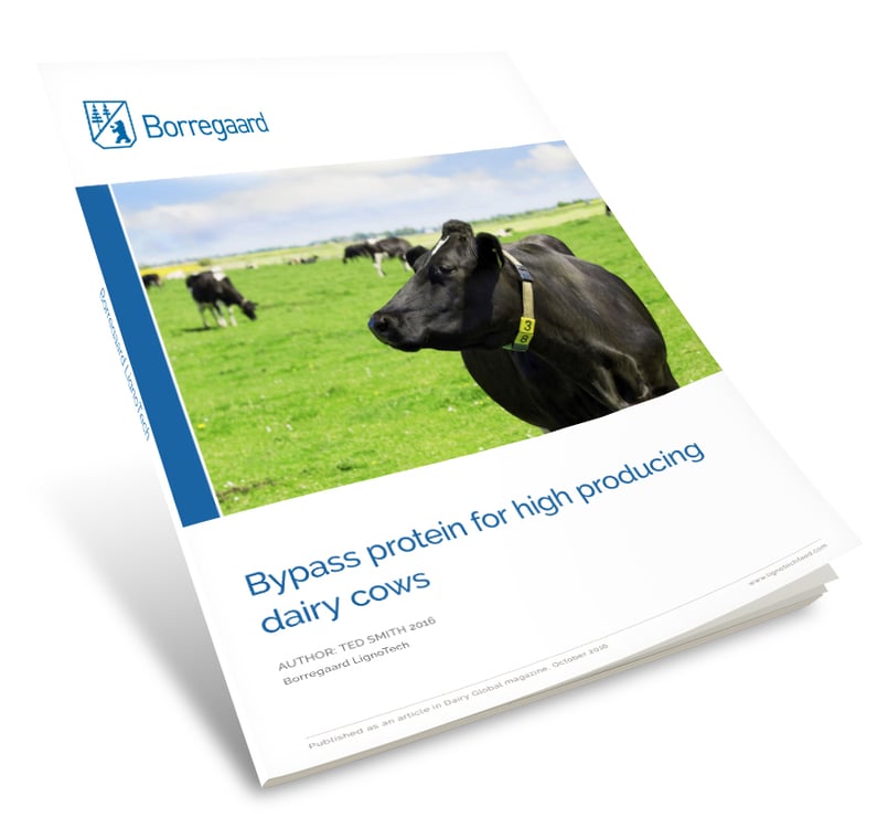 SoyPass: Soy-based bypass protein for high-yielding cows - Borregaard