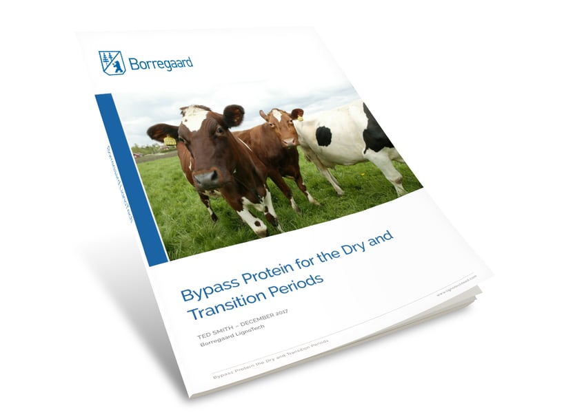 Bypass Protein Technology for high yielding cows - Borregaard