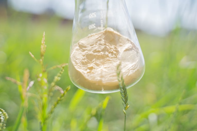 Your guide to Lignin and Lignosulfonates - Borregaard