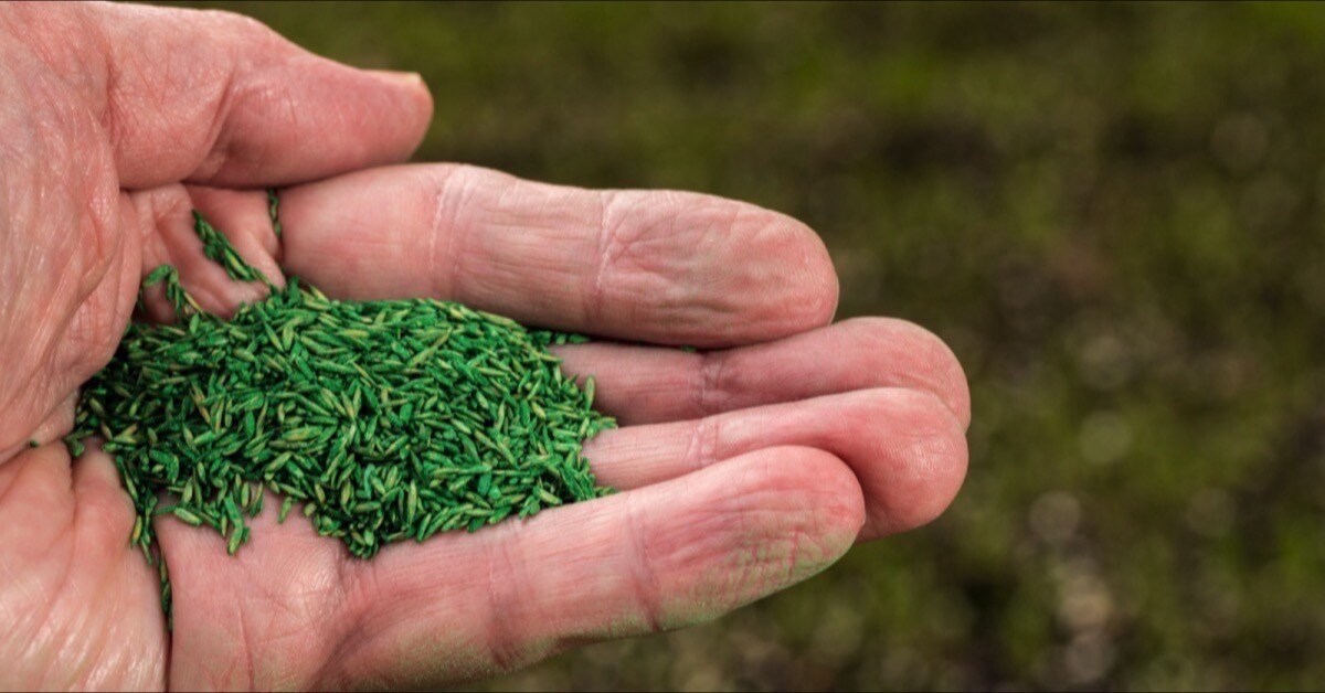 Solutions for seed film coating, pelleting and encrusting - Borregaard