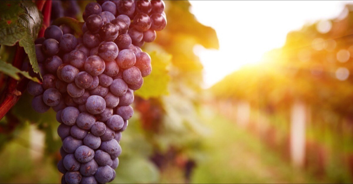 Ready-to-use complexed micronutrients - Borregaard