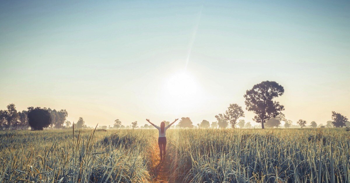 Sustainability in Borregaard - Borregaard