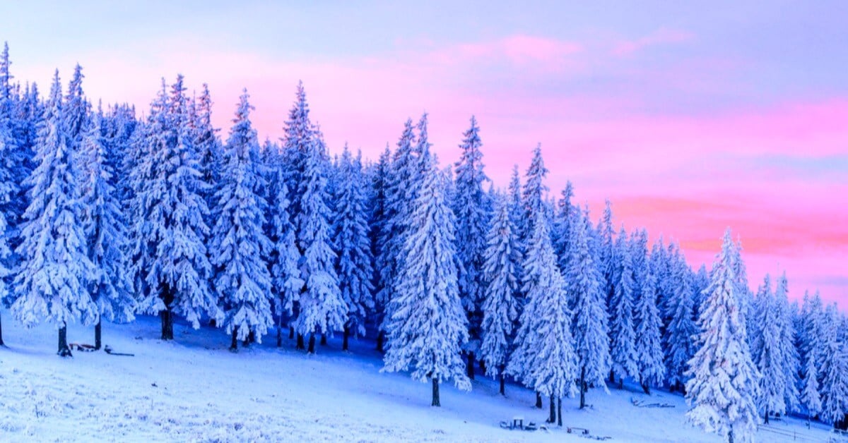 Your guide to vanilla vs. vanillin - Borregaard